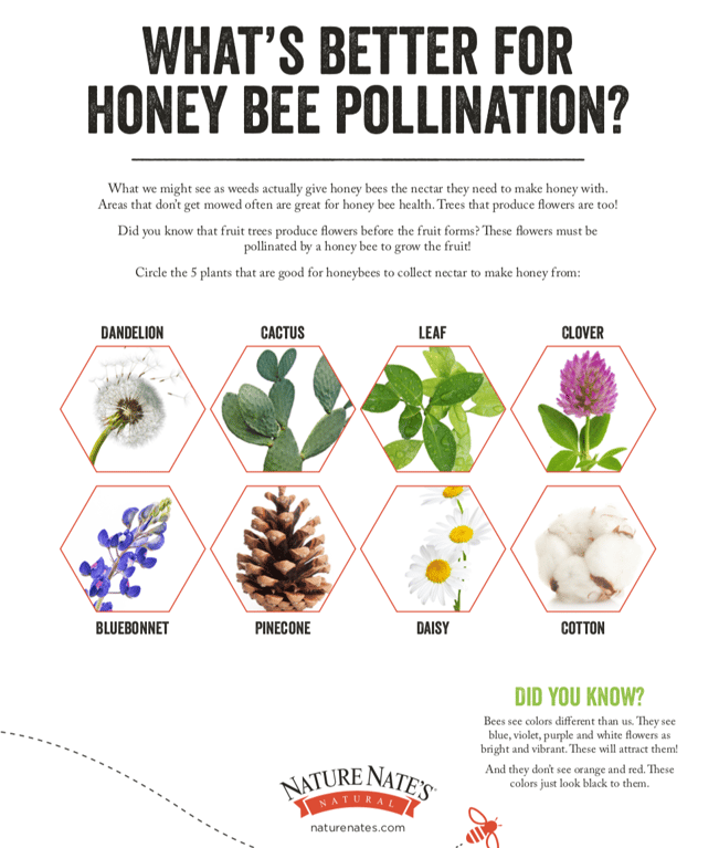 Long Live The Bees Download